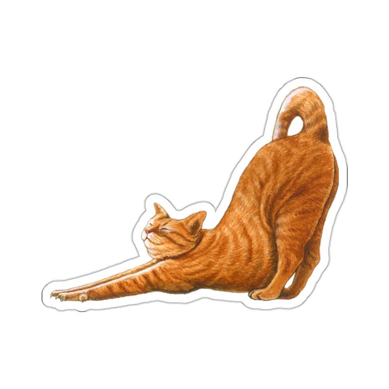 Laptop Stretching - Etsy