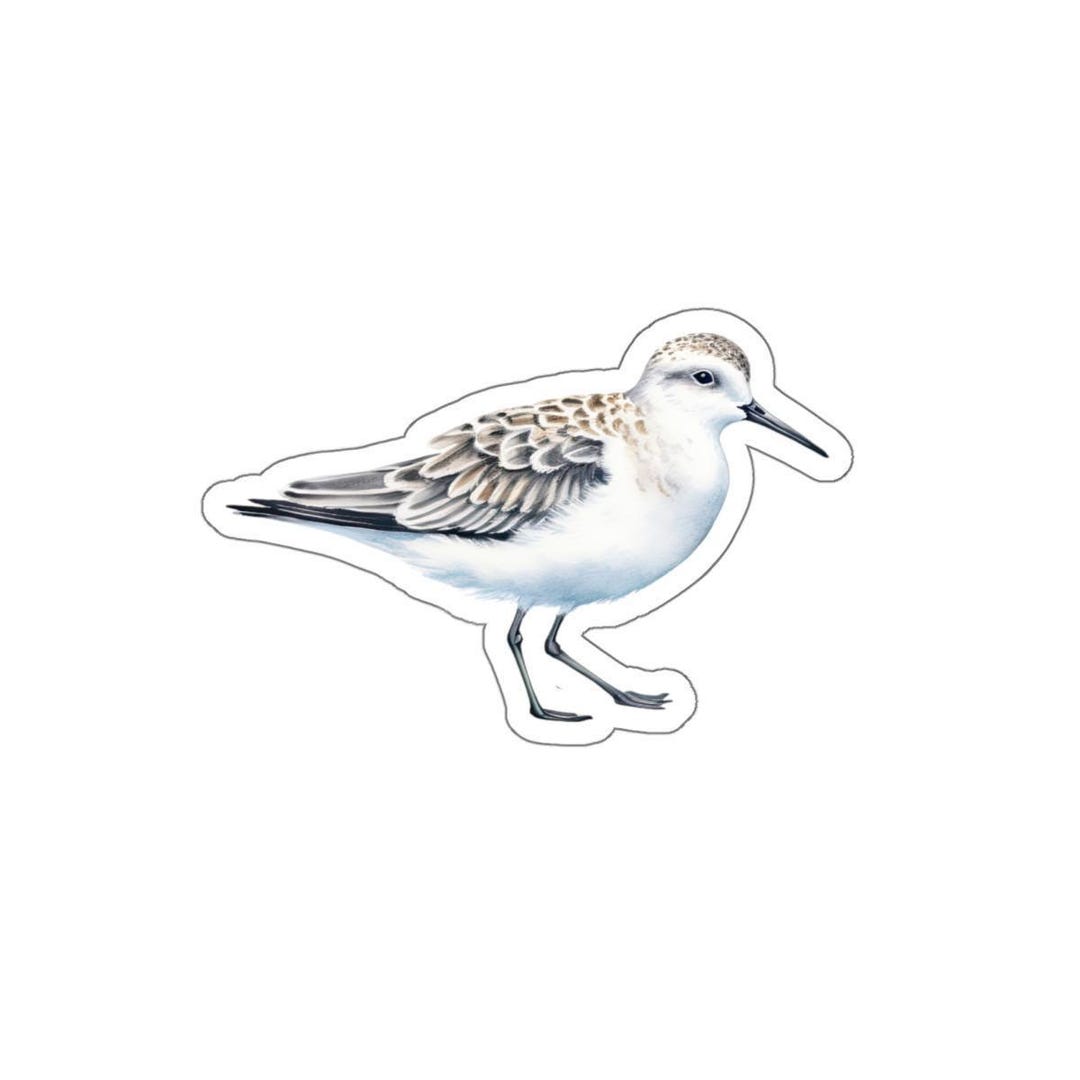 Cute Sandpiper Bird Vinyl Sticker, Watercolor Beach Bird Decal, Glossy ...