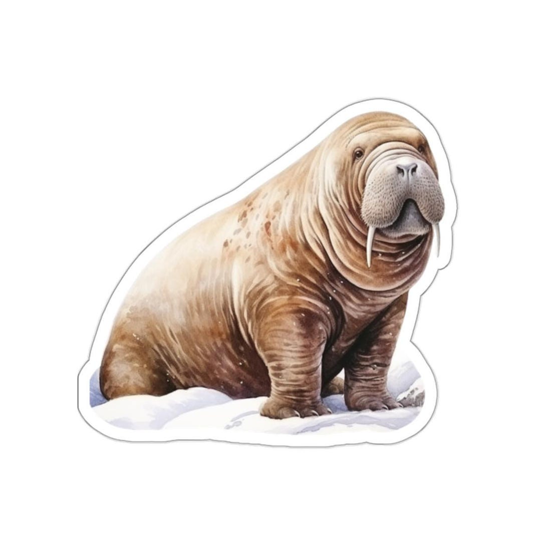 Walrus Vinyl Sticker, Glossy Waterproof Eco Friendly Sticker, Cute ...