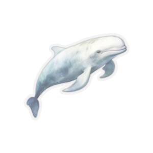 Cute Beluga Whale Sticker, Watercolor Vinyl Decal, Waterproof Marine ...