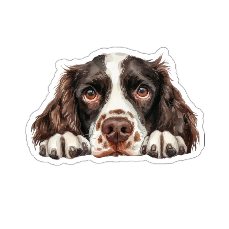 English Springer Spaniel - Etsy