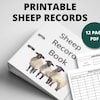 Minimal Ink Printable Sheep Records Page | Instant Download | 8.5x11 PDF| Homestead Sheep Care ...