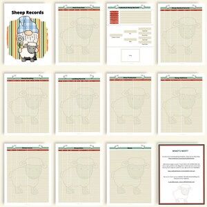 Printable Sheep Records Book Instant Download 8.5x11 PDF Homestead ...