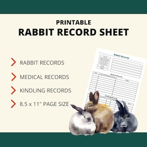 Minimal Ink Printable Rabbit Records Page | Instant Download | 8.5x11 ...