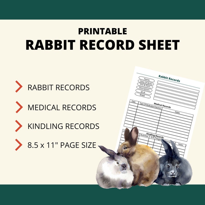 Minimal Ink Printable Rabbit Records Page | Instant Download | 8.5x11 ...