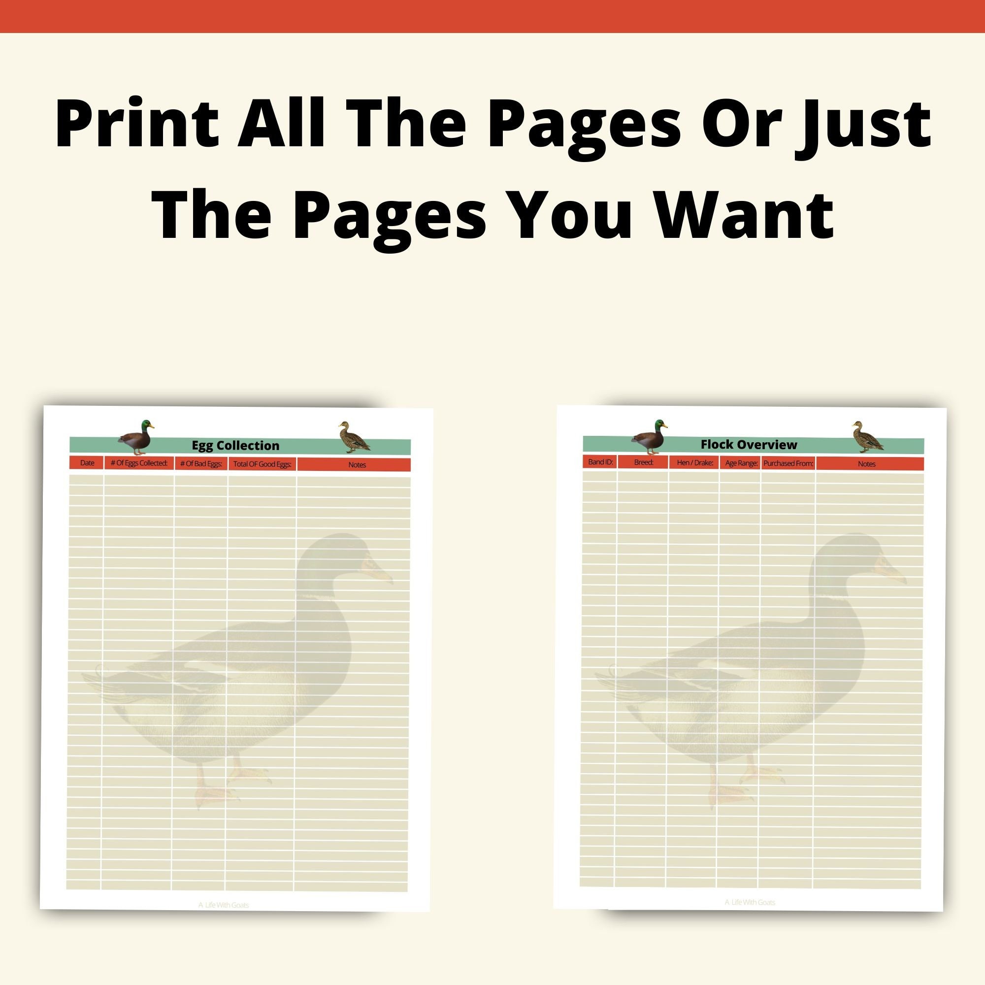 Printable Duck Records Book | Instant Download | 8.5x11 PDF| Duck Flock ...