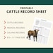 Printable Cattle Records Page | Instant Download | 8.5x11 PDF ...
