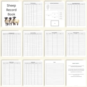 Minimal Ink Printable Sheep Records Book | Instant Download | 8.5x11 PDF| Homestead Sheep Care ...