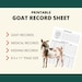 Printable Goat Records Page | Instant Download | 8.5x11 PDF| Homestead ...