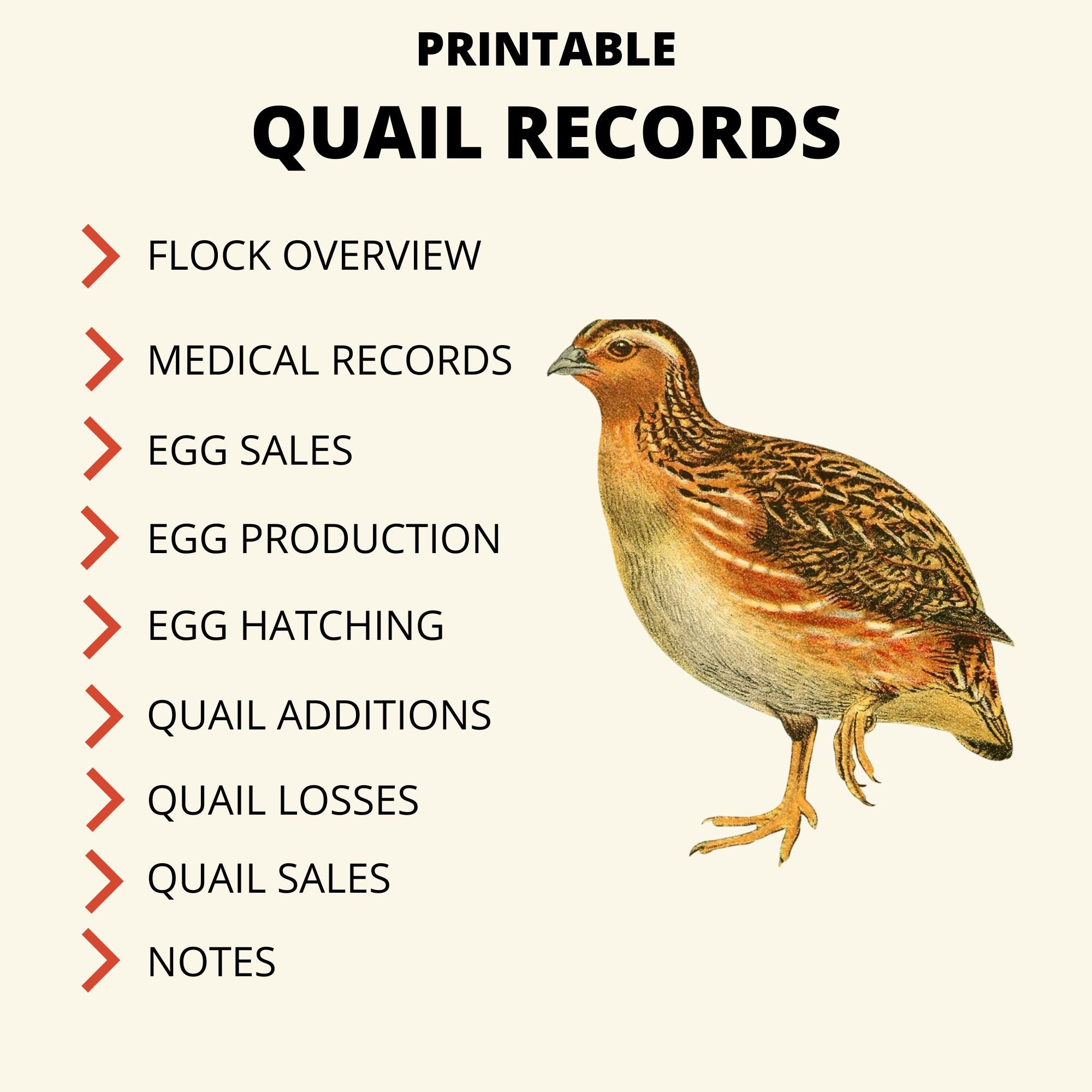 Printable Quail Records Book | Instant Download | 8.5x11 PDF| Quail ...