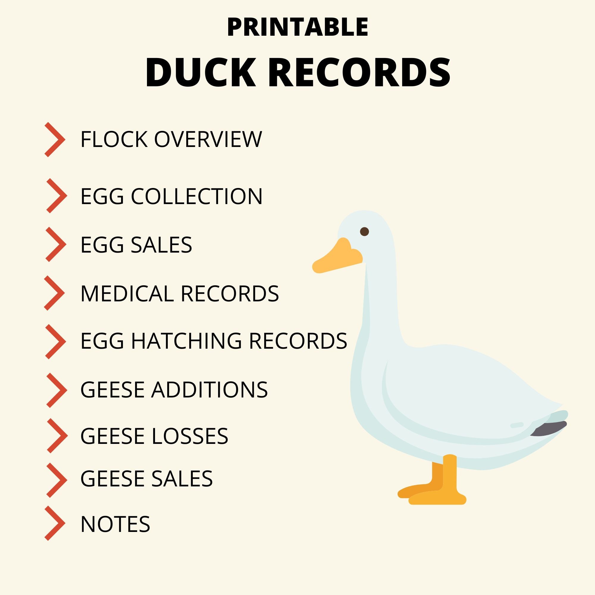 Printable Geese Records Book | Instant Download | 8.5x11 PDF| Homestead ...
