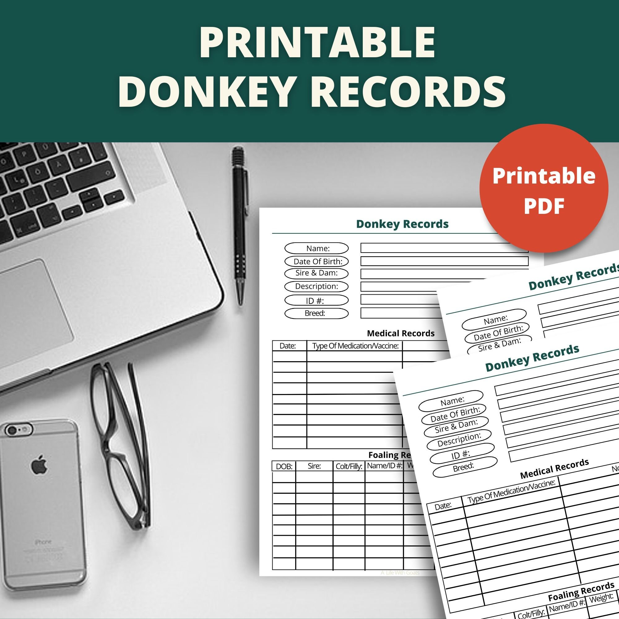 Printable Donkey Records Page | Instant Download | 8.5x11 PDF ...