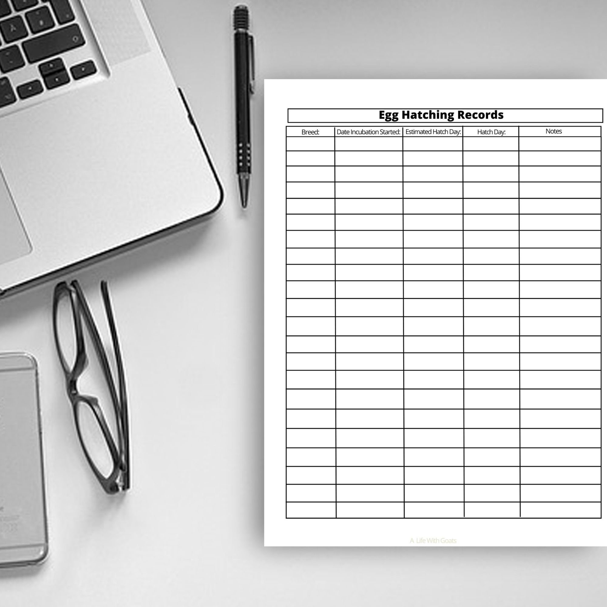 Minimal Ink Printable Chicken Records Book | Instant Download | 8.5x11 ...