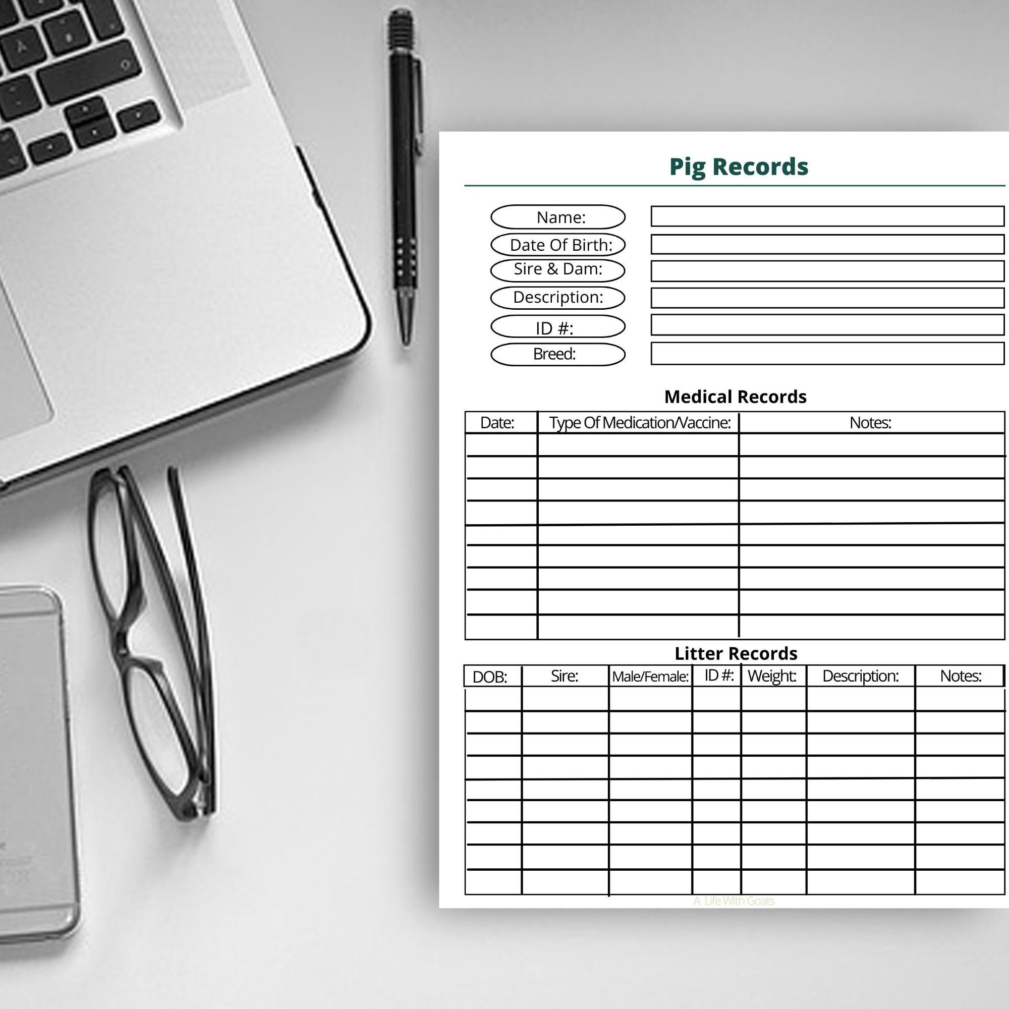 Printable Pig Record Sheet Minimal Ink | Instant Download | 8.5x11 PDF ...