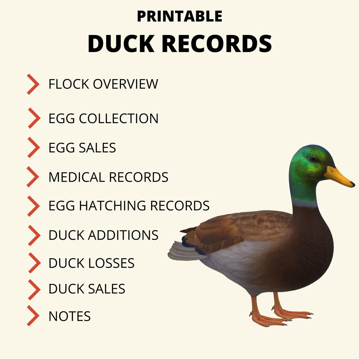 Printable Duck Records Book Instant Download 8.5x11 PDF - Etsy