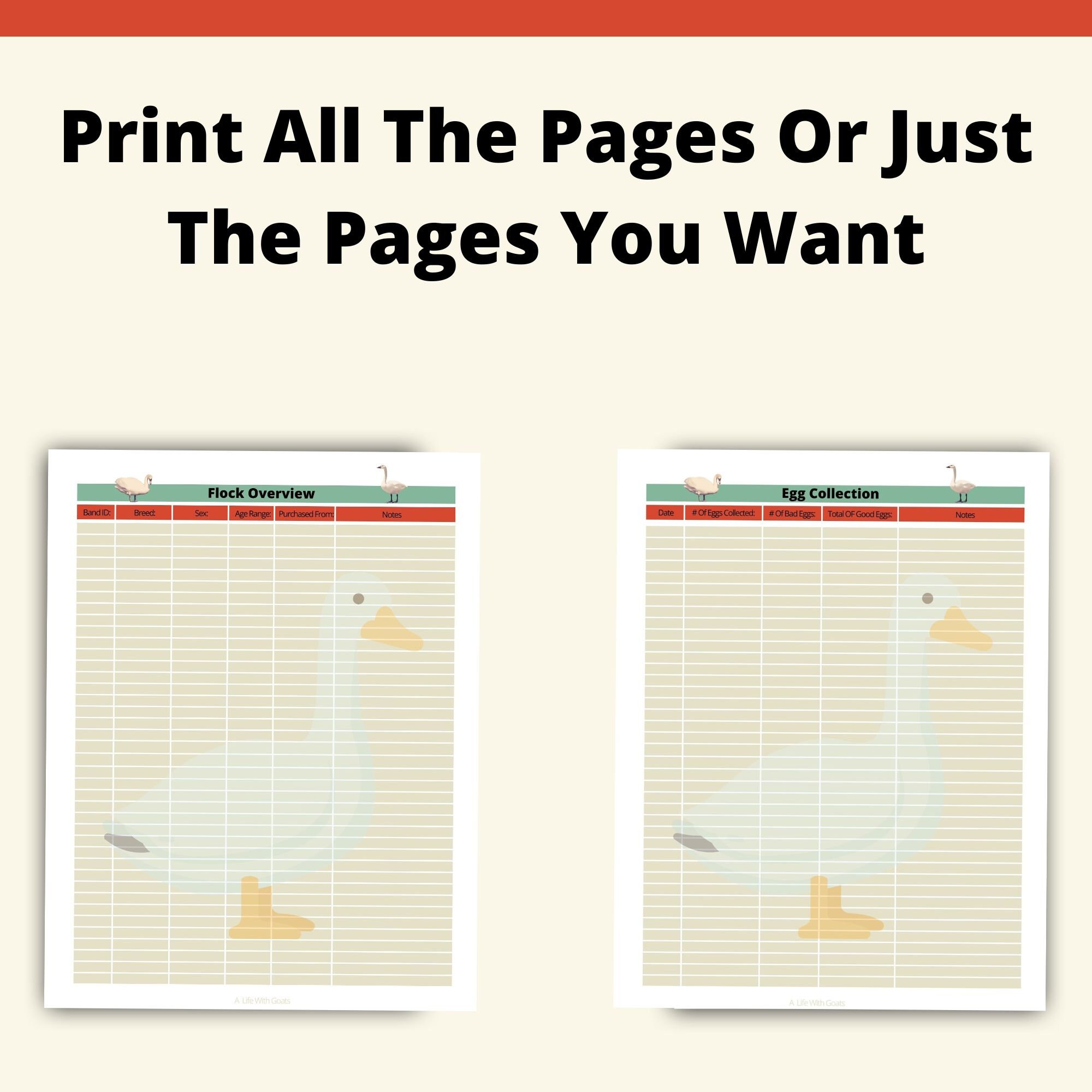 Printable Geese Records Book | Instant Download | 8.5x11 PDF| Homestead ...