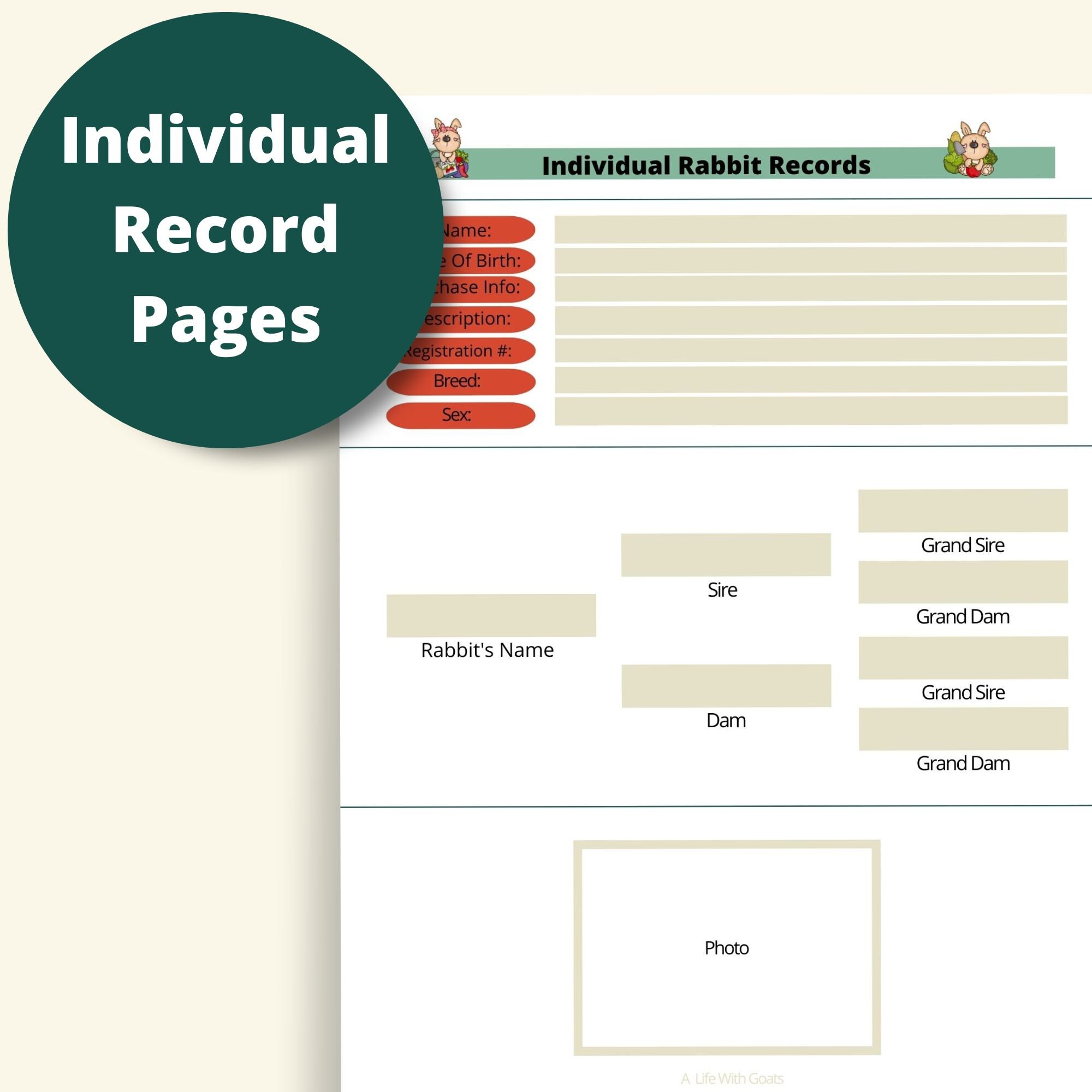 Printable Rabbit Records Book Instant Download 8.5x11 PDF Homestead ...