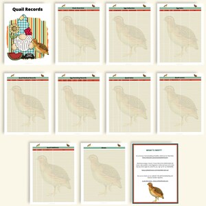 Printable Quail Records Book | Instant Download | 8.5x11 PDF| Quail ...