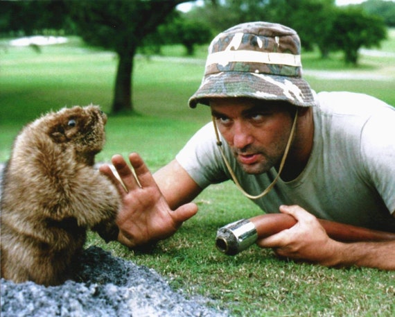 Bill Murray Iconic Gopher Scene...caddyshack..american - Etsy