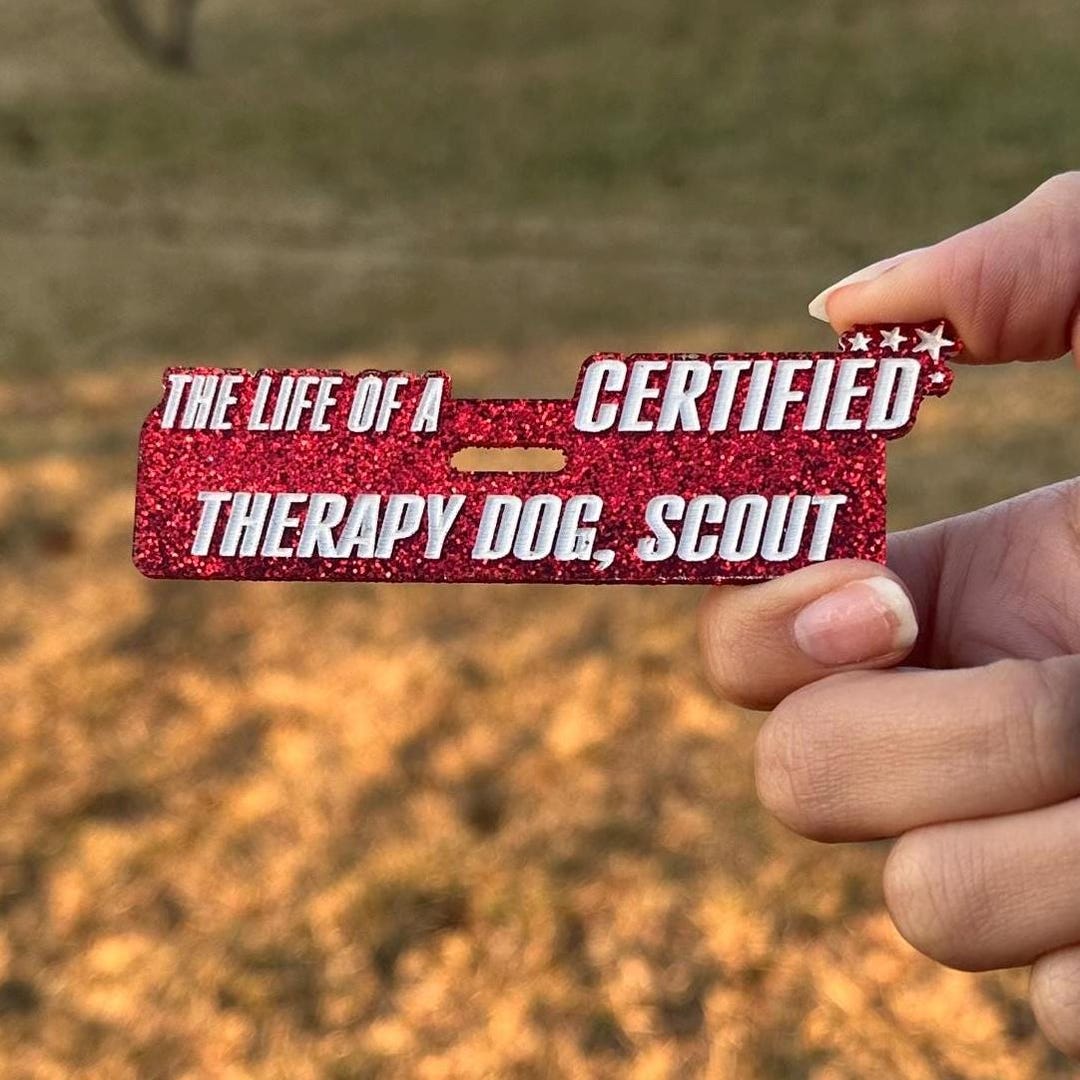 Personalized Healthcare ID Tag for Nurses, Medical Workers, and Therapy ...