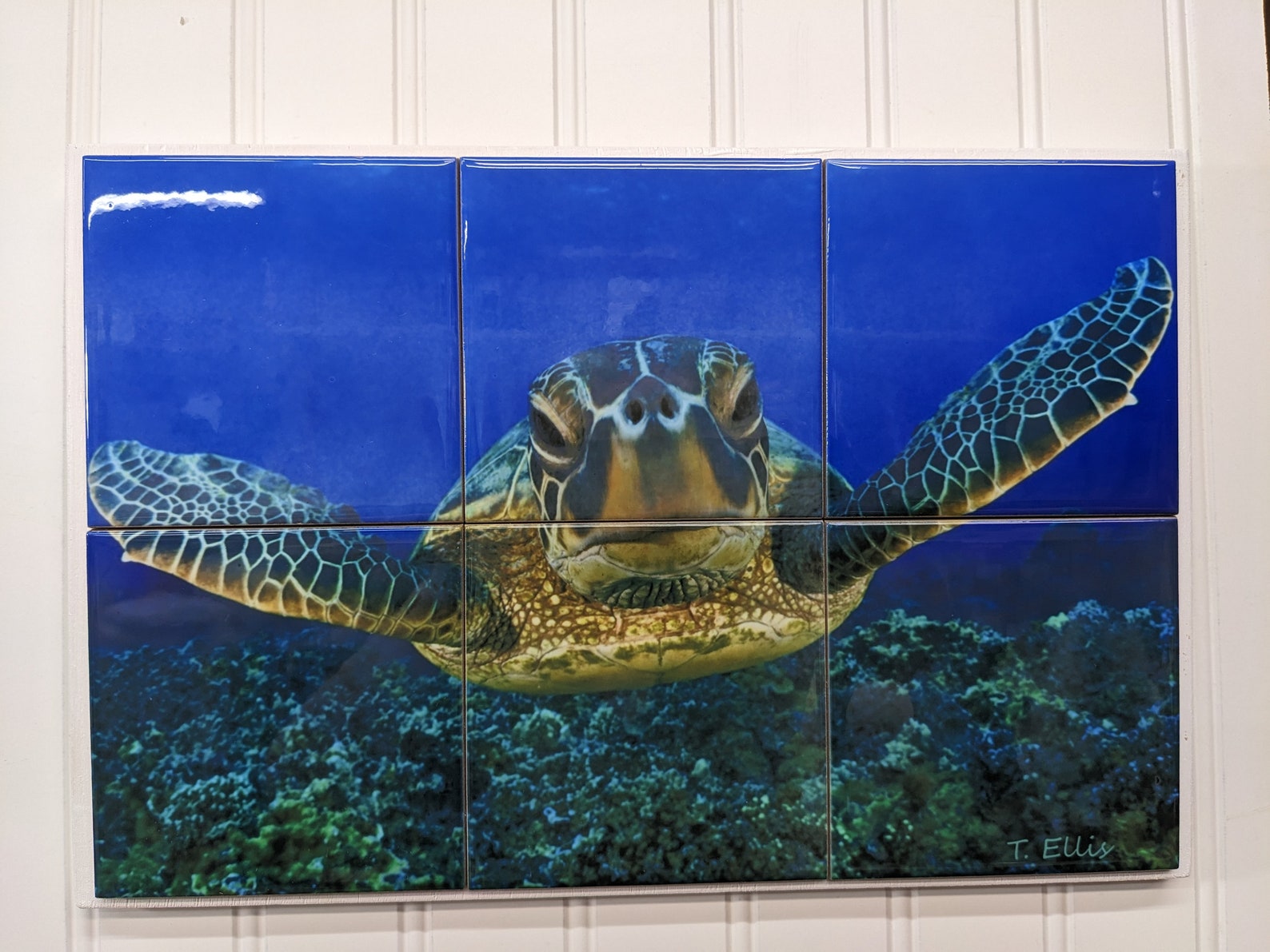 Turtle Undersea Turtle, Tile Art Mural 13 X 9 - Etsy