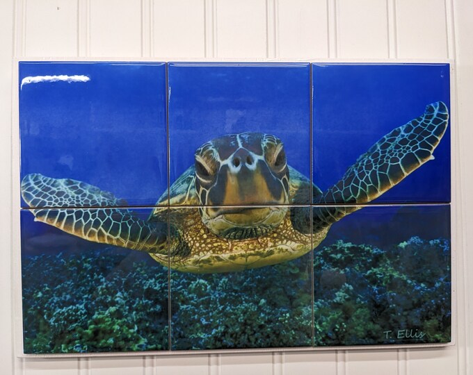 Turtle - Undersea Turtle, Tile Art Mural 13" X 9" - Etsy