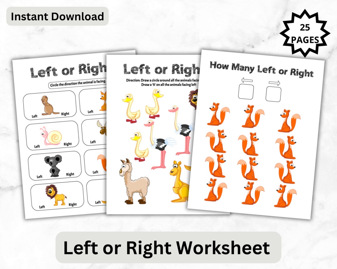 Left or Right Worksheet | Kindergarten Activity | Direction Worksheets ...