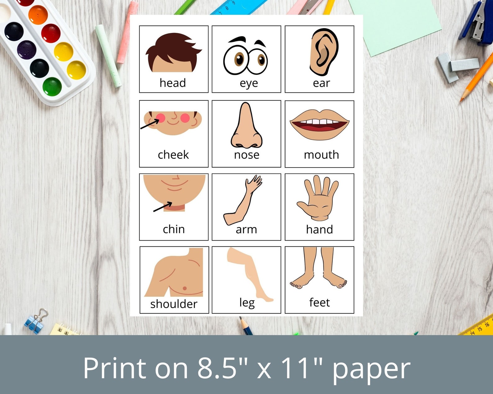 Body & Face Parts Montessori Worksheet: Cut and Paste Activity (digital ...