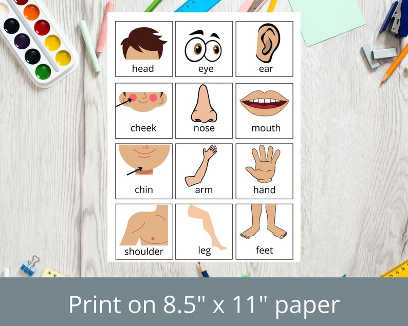 Body & Face Parts Montessori Worksheet: Cut and Paste Activity (digital ...