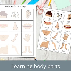 Body & Face Parts Montessori Worksheet: Cut and Paste Activity (digital ...