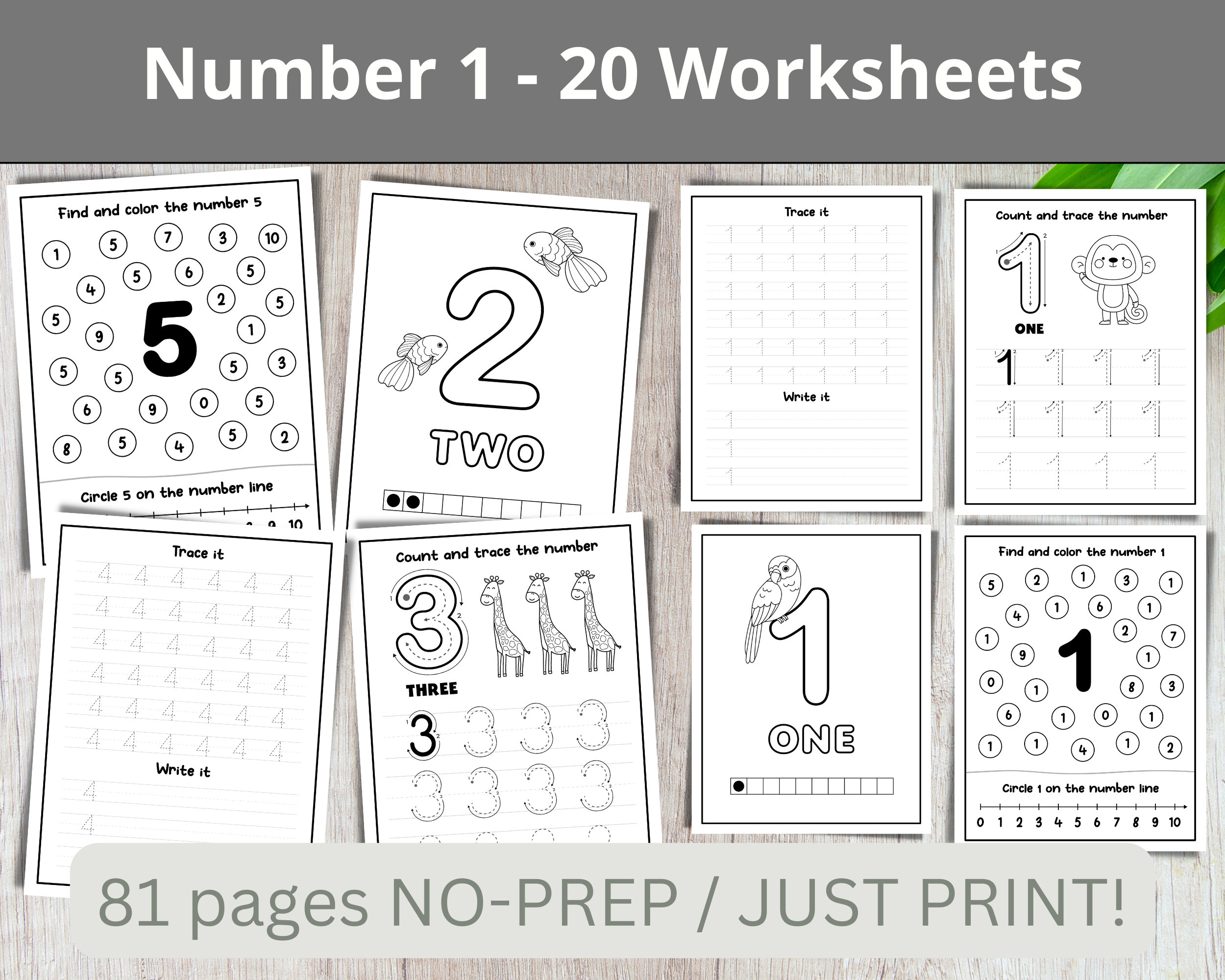 Numbers 1 to 20 Kindergarten Math Printable Worksheet. Homeschool ...