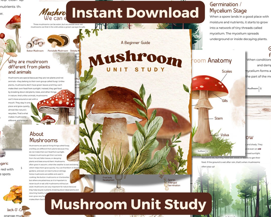 Mushroom Themed Unit Study and Printable Worksheets for Kids - Etsy