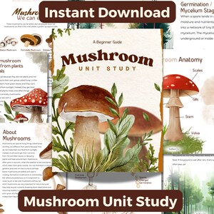Mushroom Themed Unit Study and Printable Worksheets for Kids - Etsy