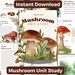 Mushroom Themed Unit Study and Printable Worksheets for Kids - Etsy