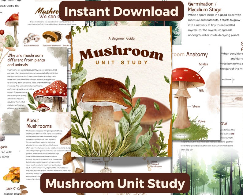 Mushroom Themed Unit Study and Printable Worksheets for Kids - Etsy