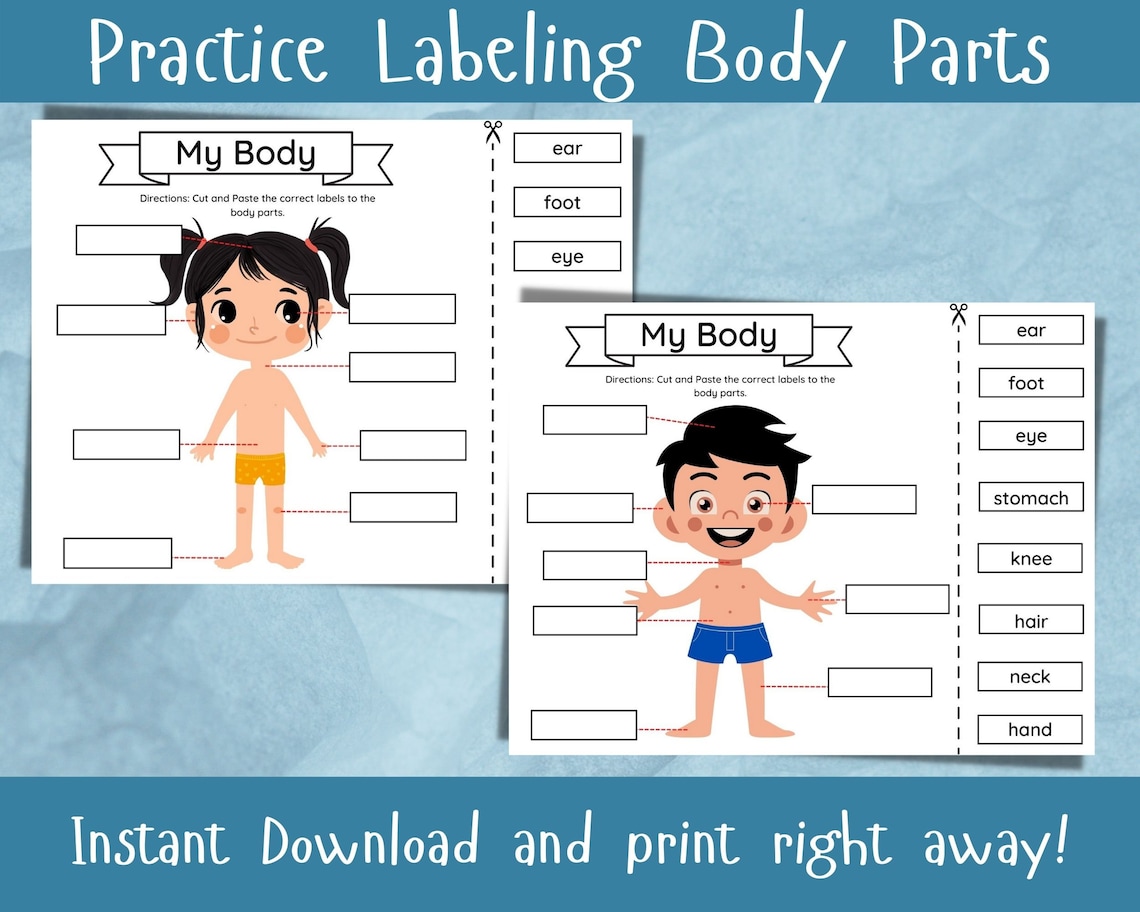 Body Parts Printable Activity: Matching Game & Worksheet (digital ...