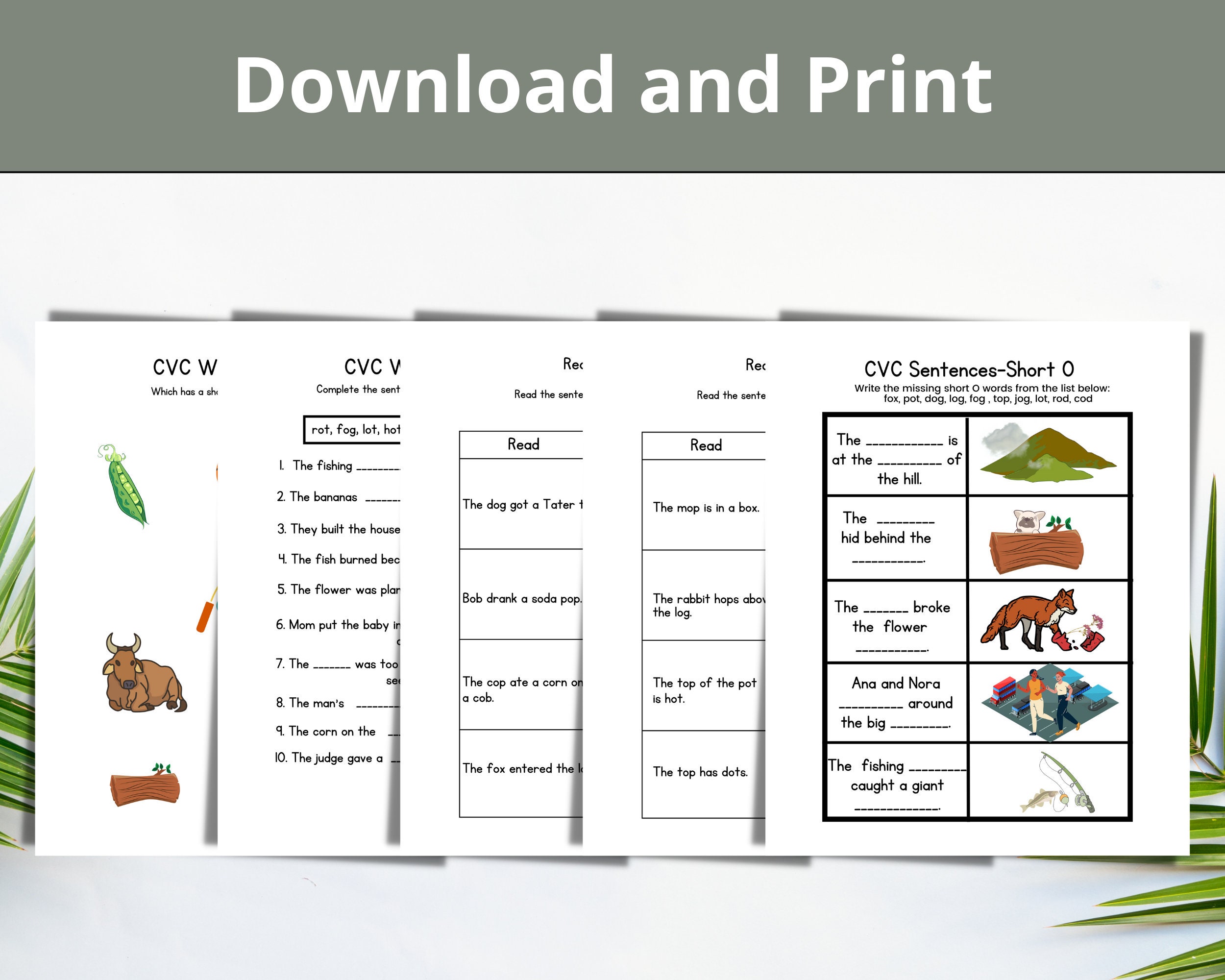15 Pages of Short "o" CVC Words Worksheets for Kindergarten | CVC Words ...
