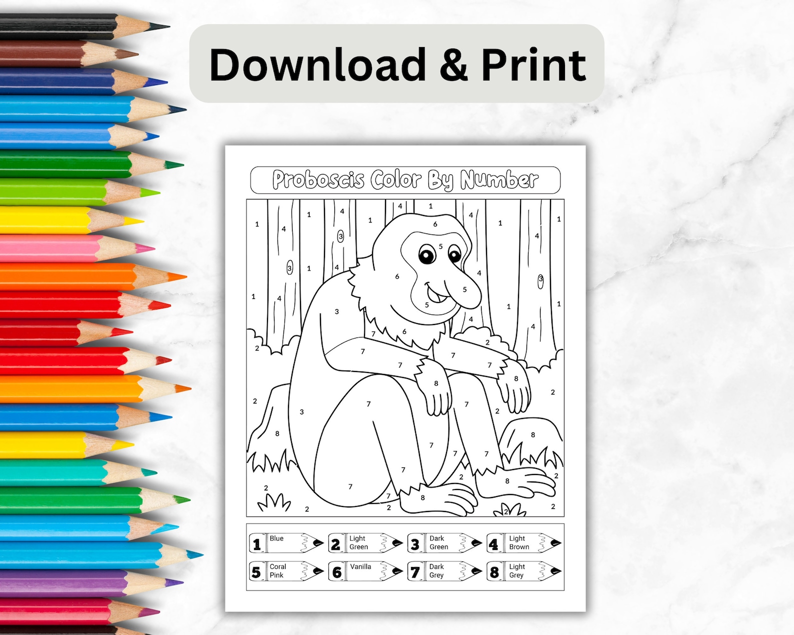 Animal Color by Number Worksheet: Toddler Activity (25 Page) (digital ...