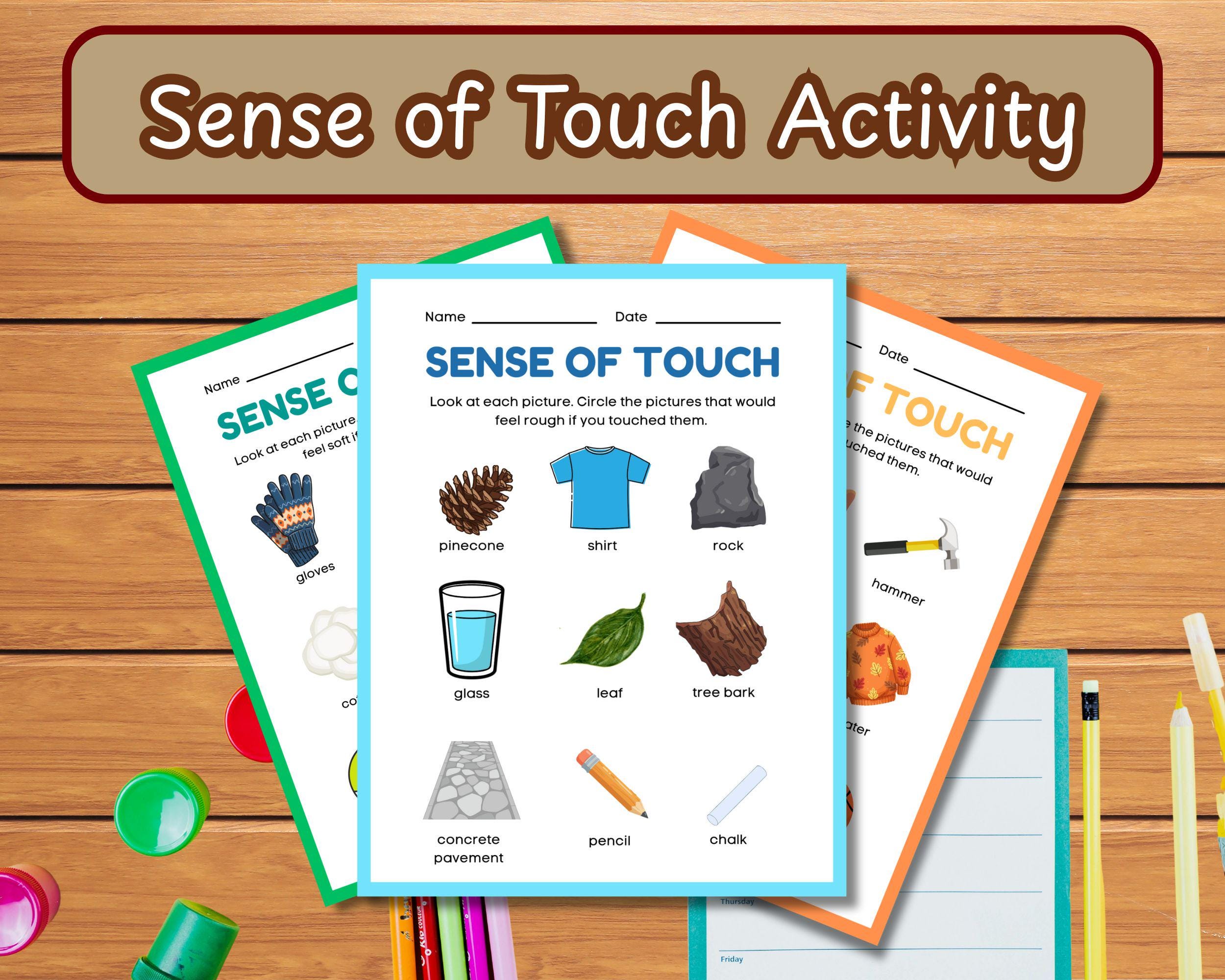 Sense of Touch Activity for Kid | Sensory Activity | Preschool Science ...