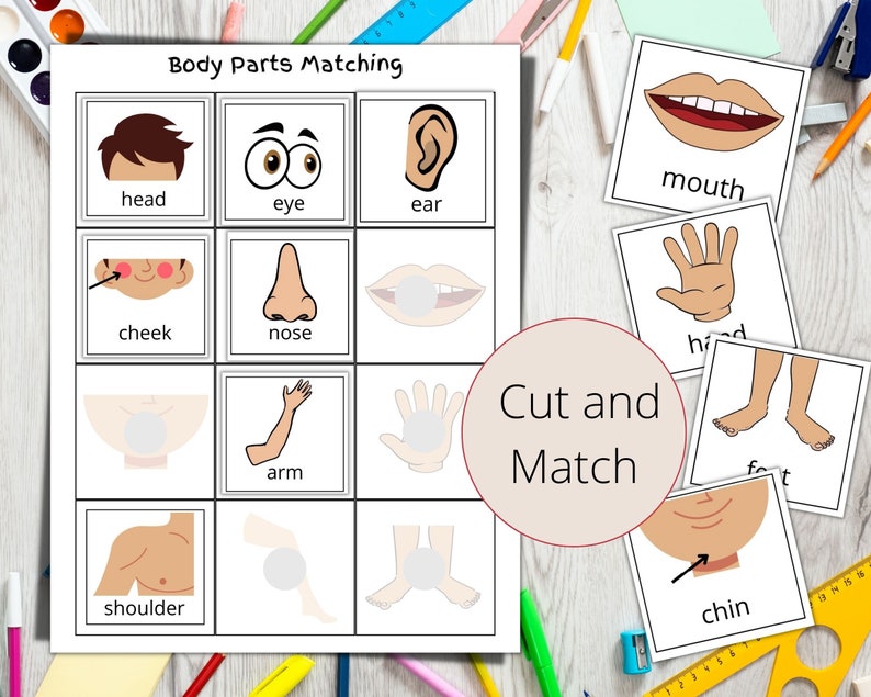 Body & Face Parts Montessori Worksheet: Cut and Paste Activity (digital ...