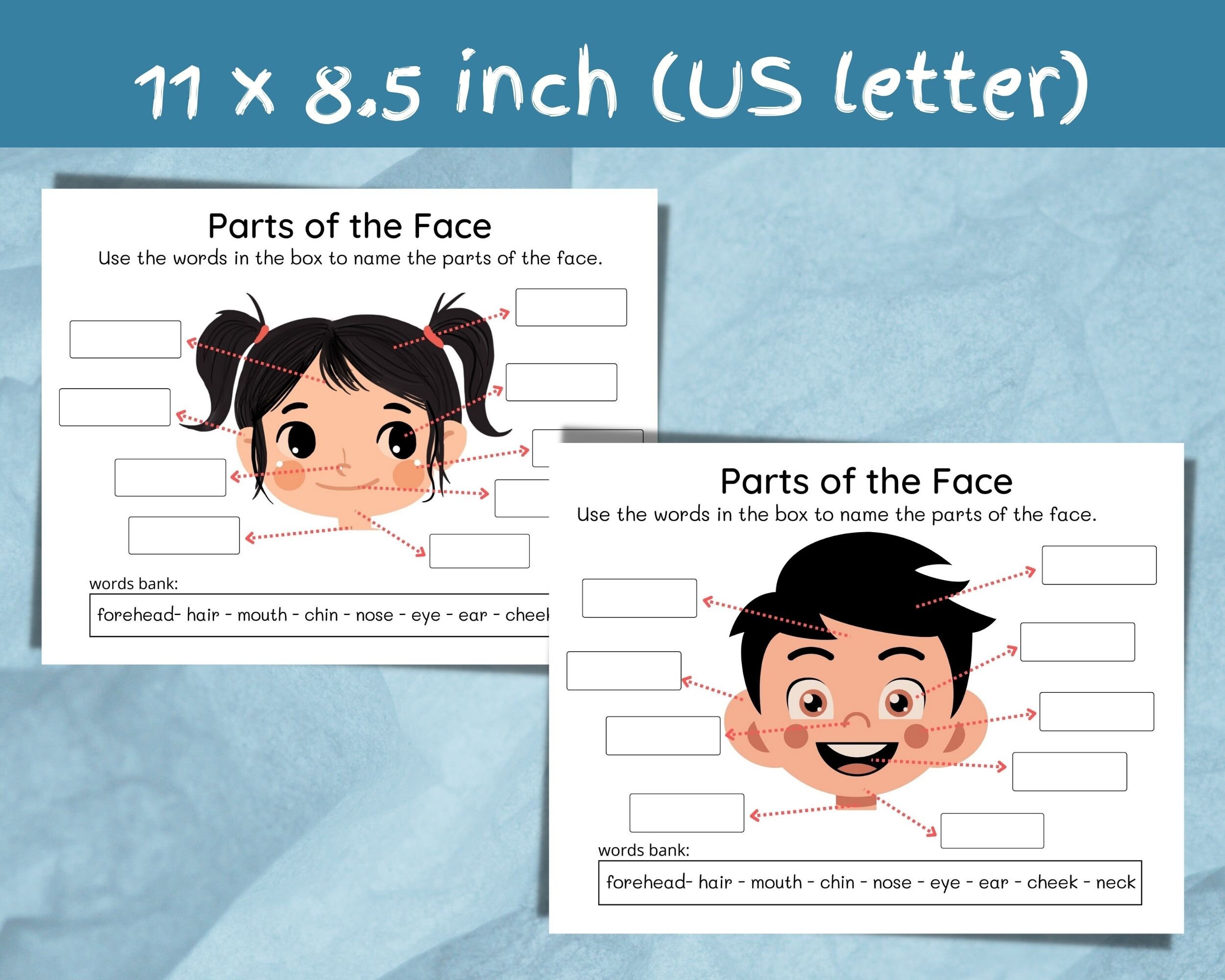 Body Parts Printable Activity: Matching Game & Worksheet (digital ...