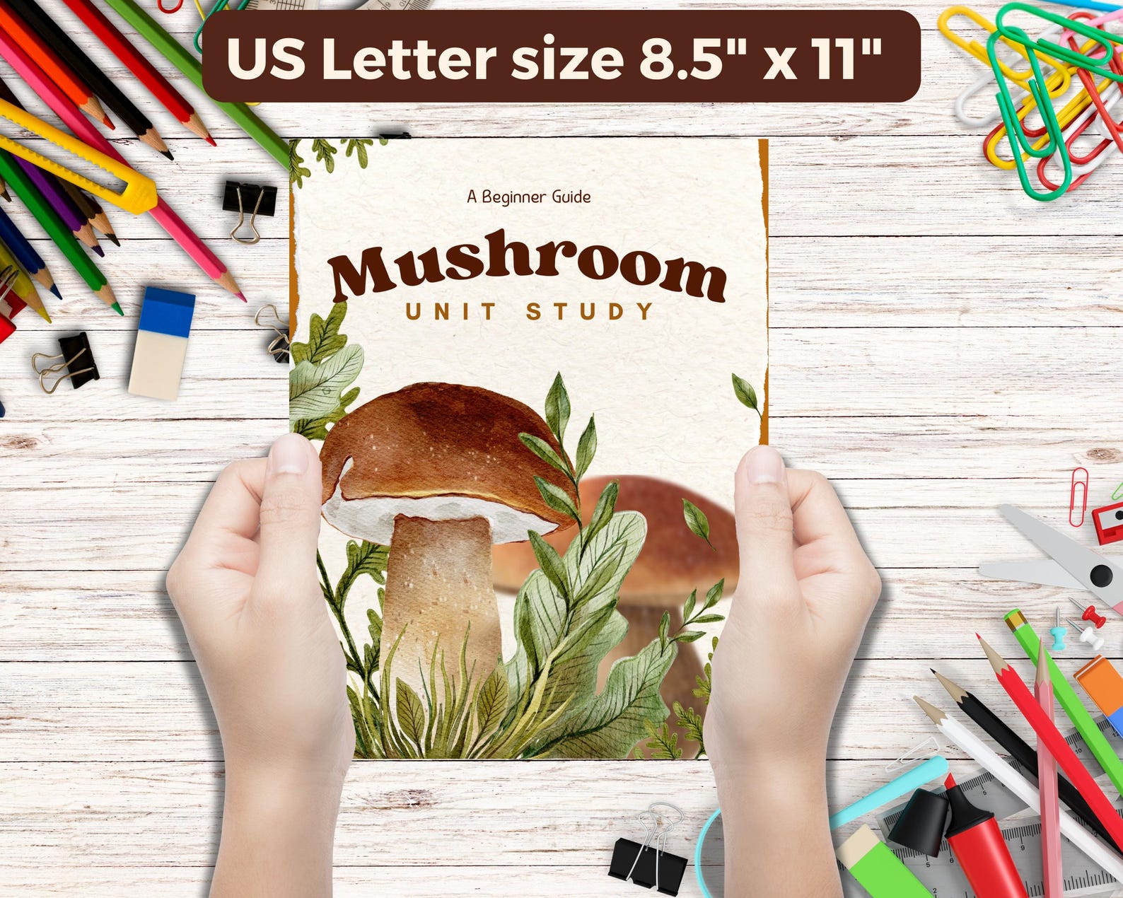 Mushroom Themed Unit Study and Printable Worksheets for Kids - Etsy