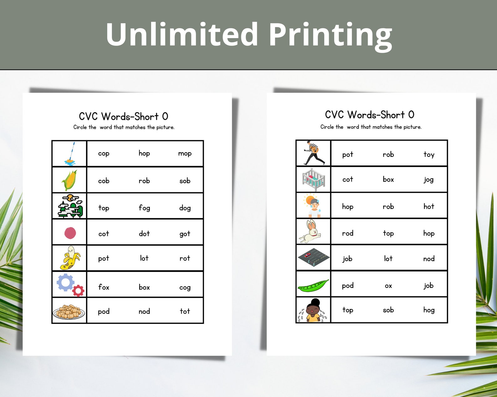 Short O CVC Words Worksheets: Kindergarten Homeschool Printable (PDF ...