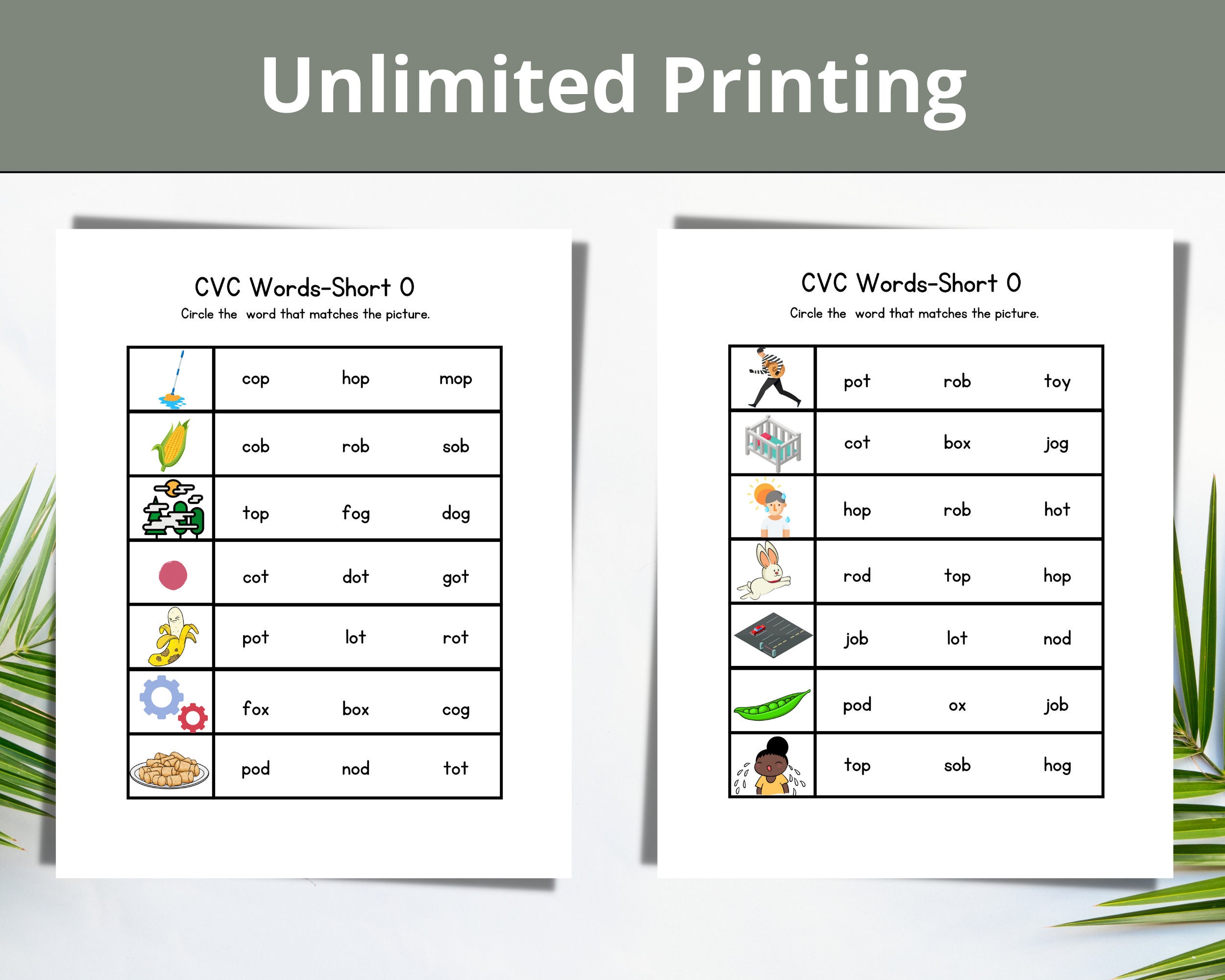 15 Pages of Short "o" CVC Words Worksheets for Kindergarten | CVC Words ...