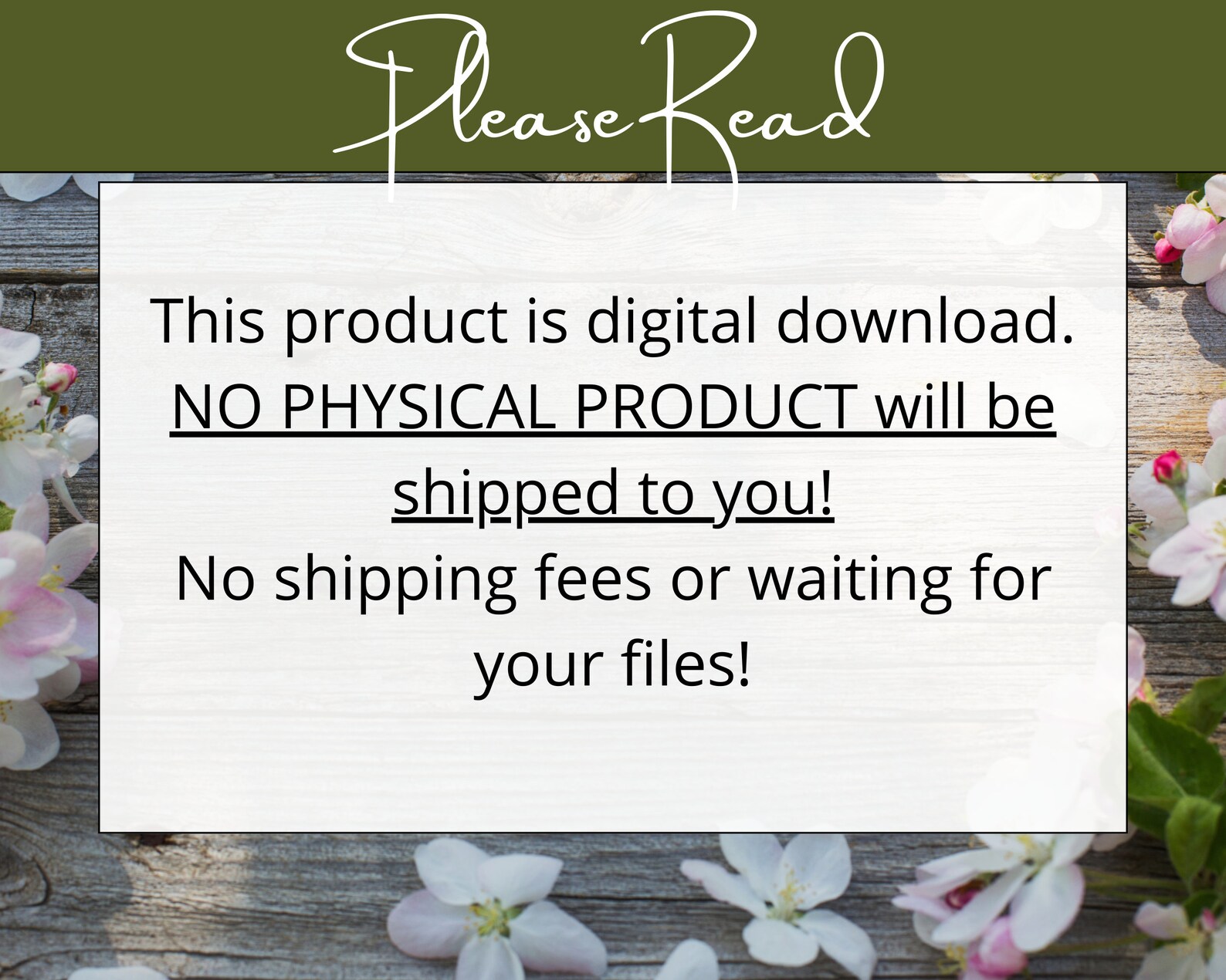 100 Fry's Sight Word Flashcards Digital Download | Kindergarten Sight ...