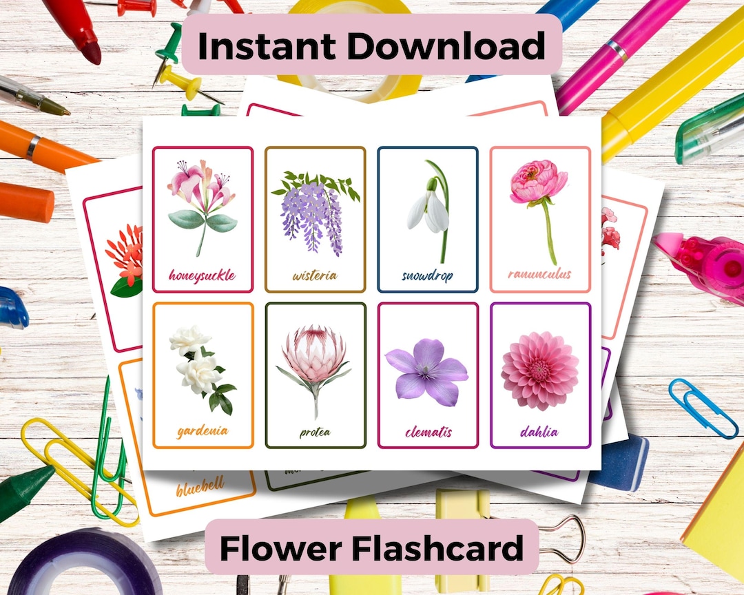 Flower Flashcards for Kids Printable | Learn Flower Names | Nature ...