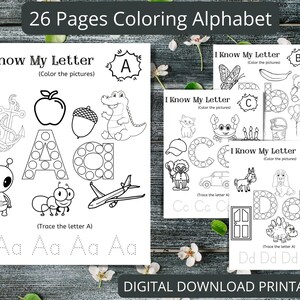 Preschool Alphabet Worksheets, Preschool Worksheets, Letter Sounds ...