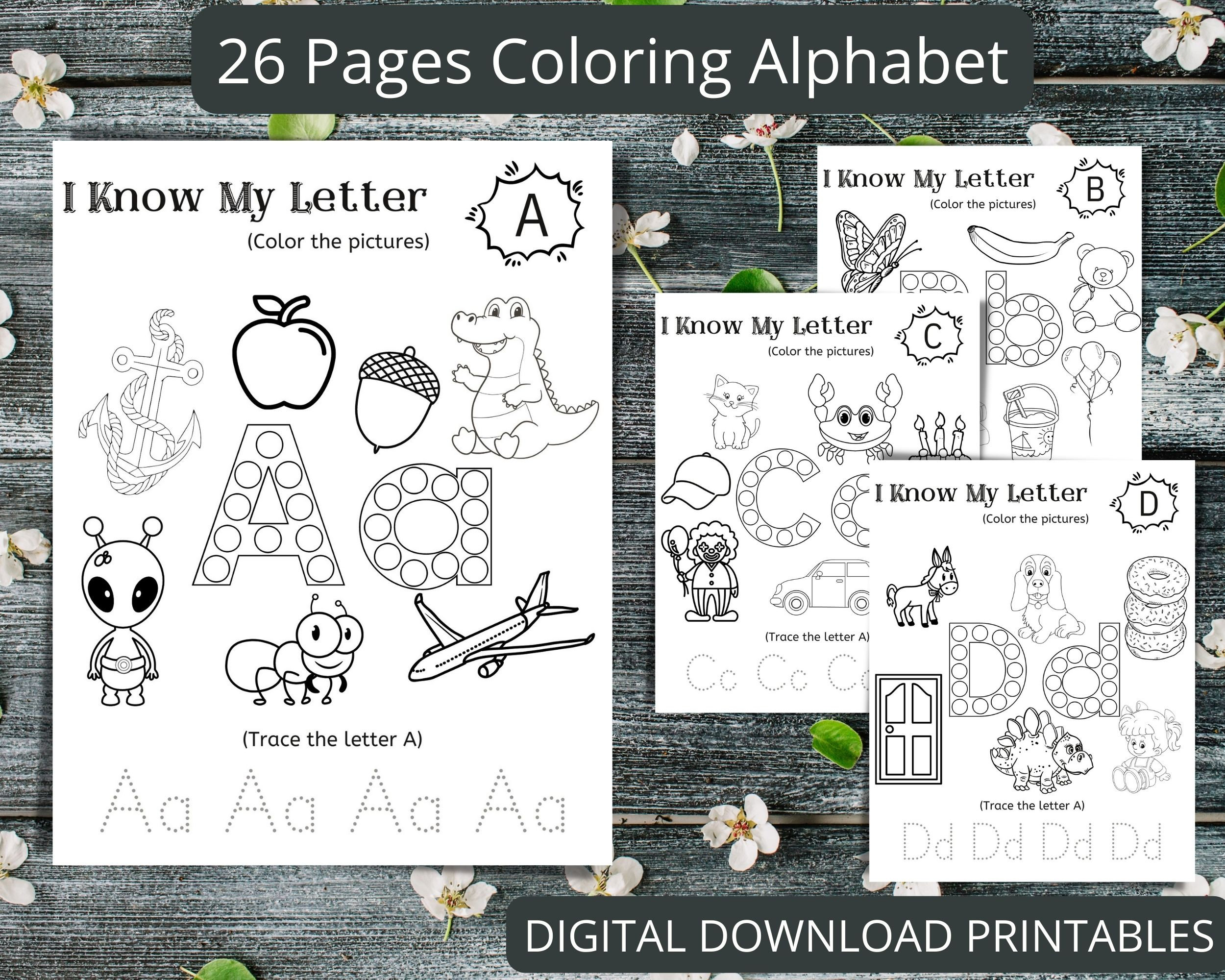 Preschool Alphabet Worksheets Preschool Worksheets Letter - Etsy
