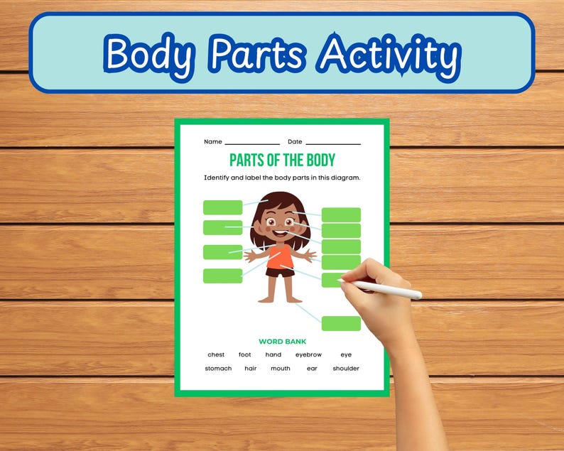 Body Parts Labeling Worksheet for Kids | Human Body Activity ...