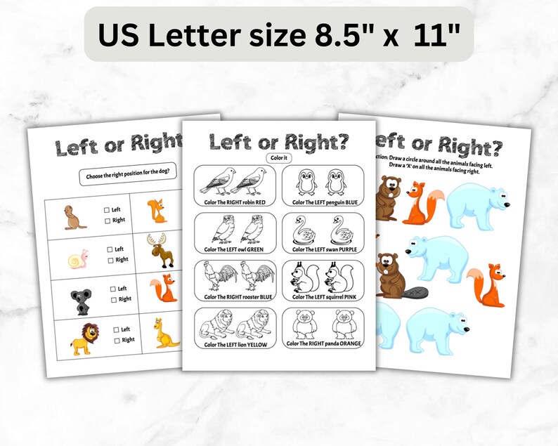 Left or Right Worksheet | Kindergarten Activity | Direction Worksheets ...